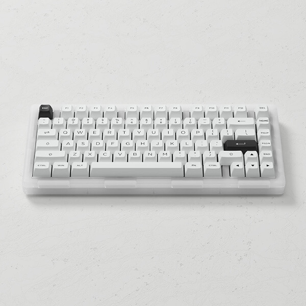 Bàn phím cơ AKKO ACR75 Pro Gasket Mount Akko CS Crystal switch